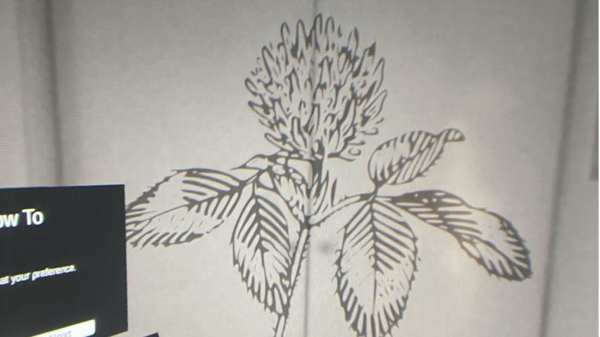 Contour | Meta Quest Game