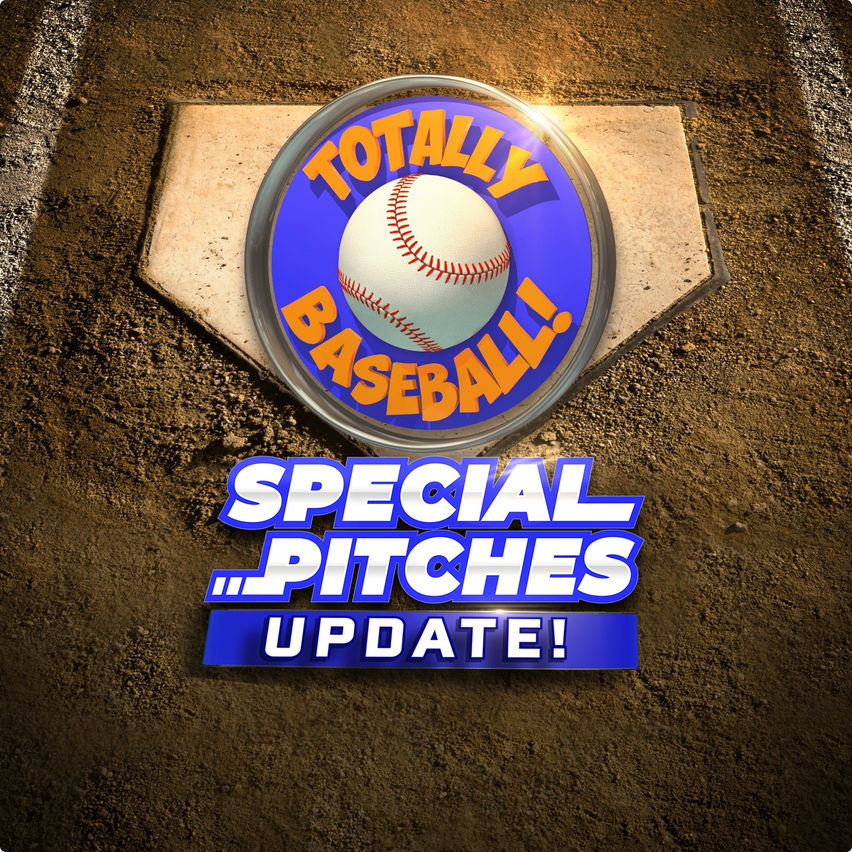 TOTALLY BASEBALL | Meta Quest Game