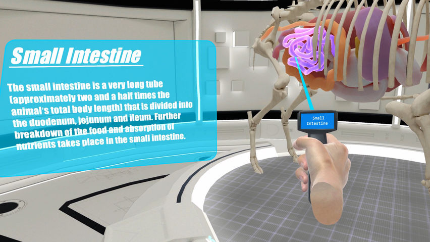 Animal Anatomy Explorer | Meta Quest Game