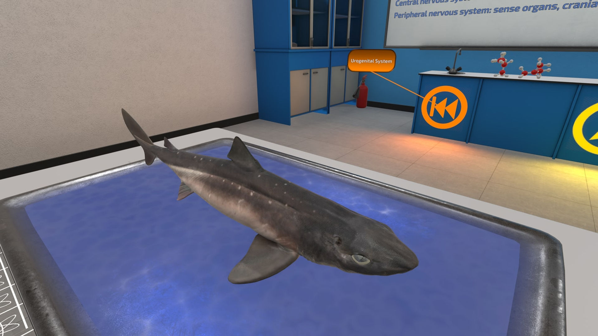 Dissection Simulator: Shark Edition | Meta Quest 游戏
