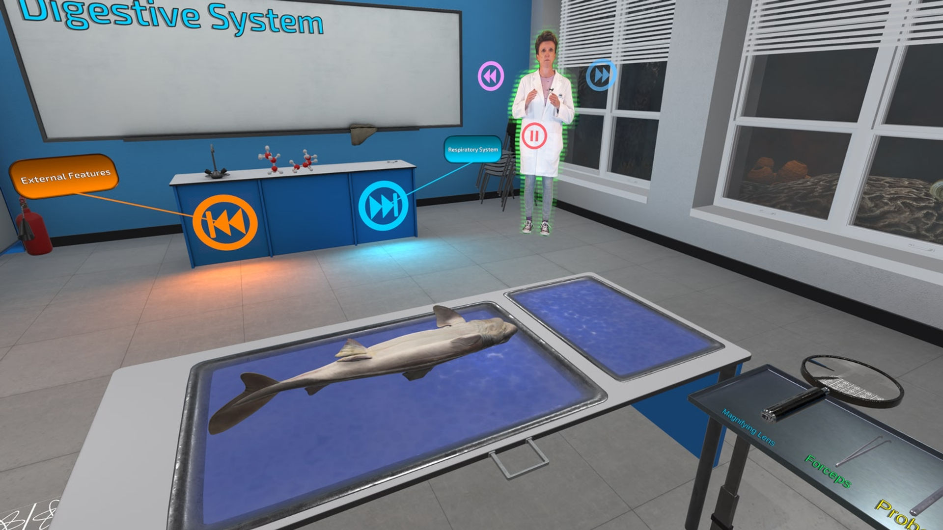 Dissection Simulator: Shark Edition | Meta Quest 游戏