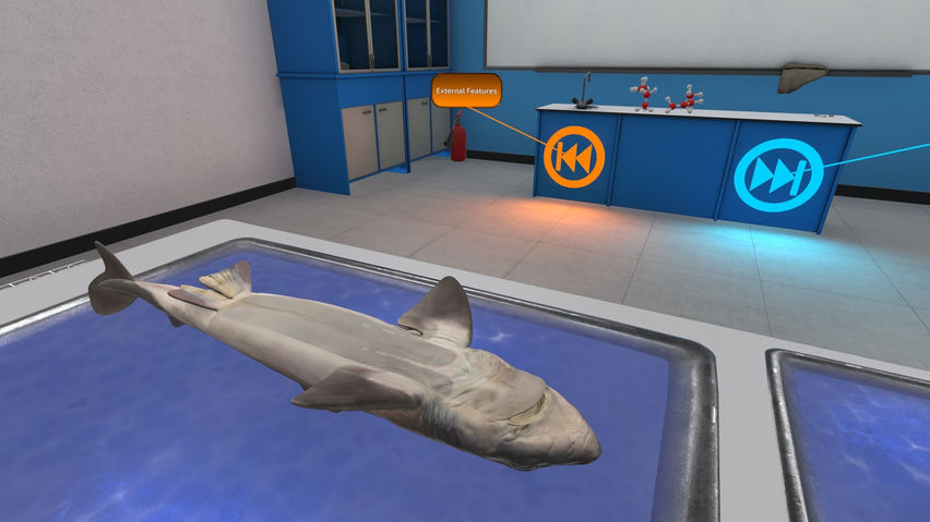 Dissection Simulator: Shark Edition | Hra pro Meta Quest