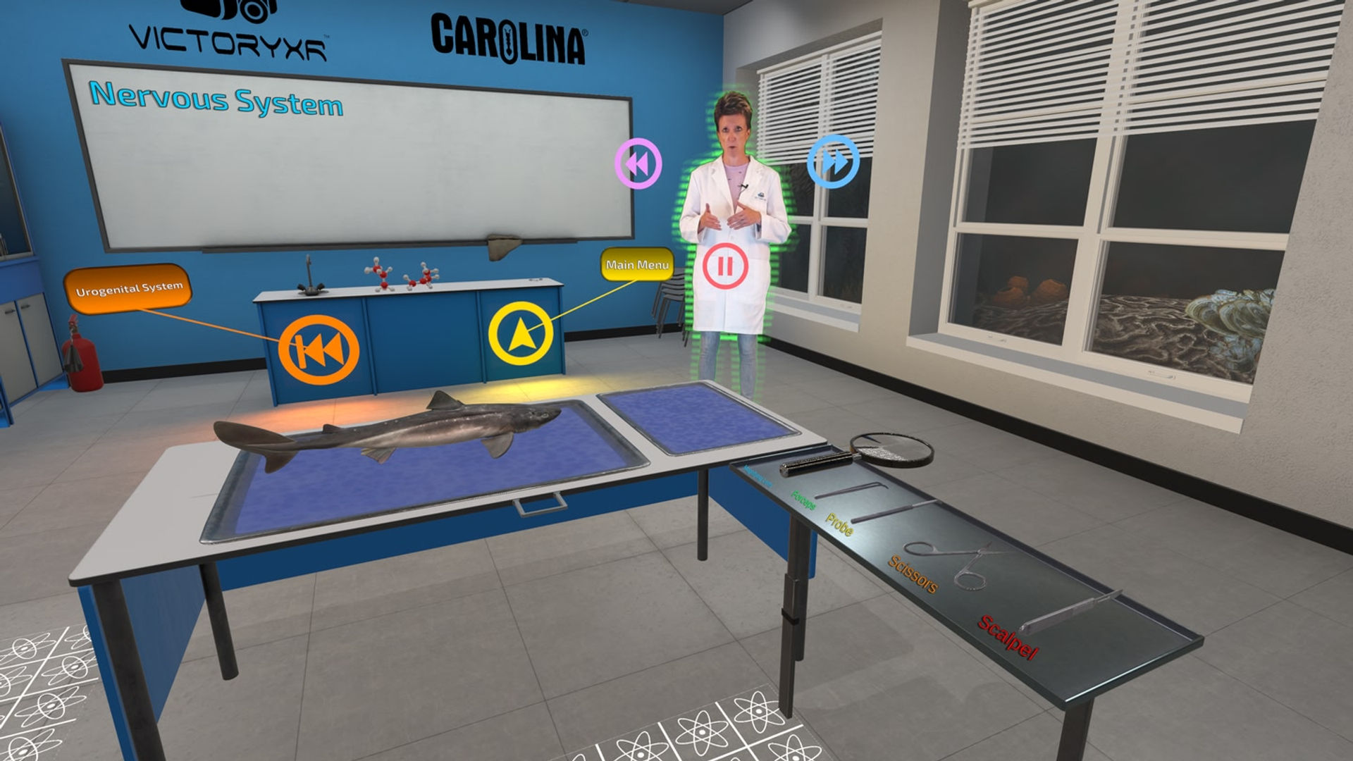 Dissection Simulator: Shark Edition | Meta Quest 游戏